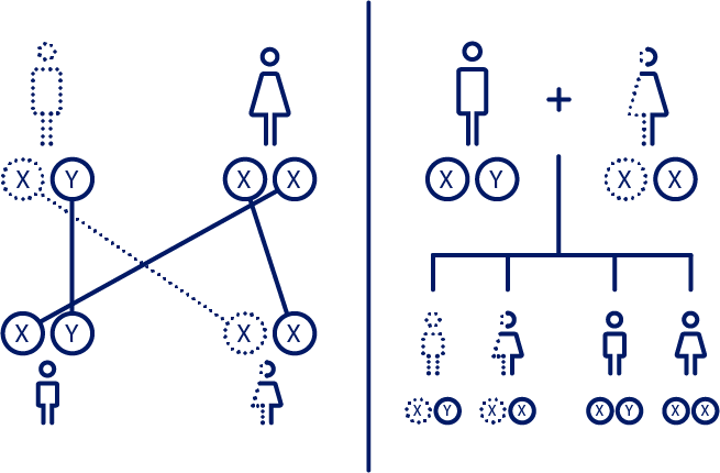 Types of blood disorders